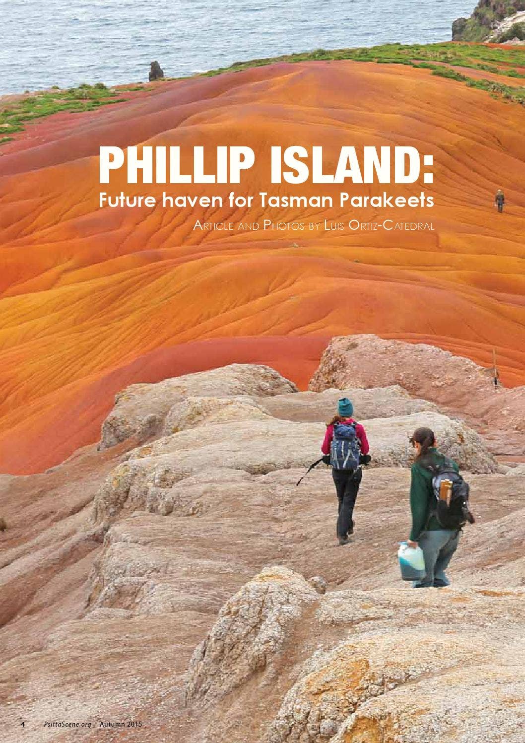 Phillip Island - Future haven for Tasman Parakeets by World Parrot ...