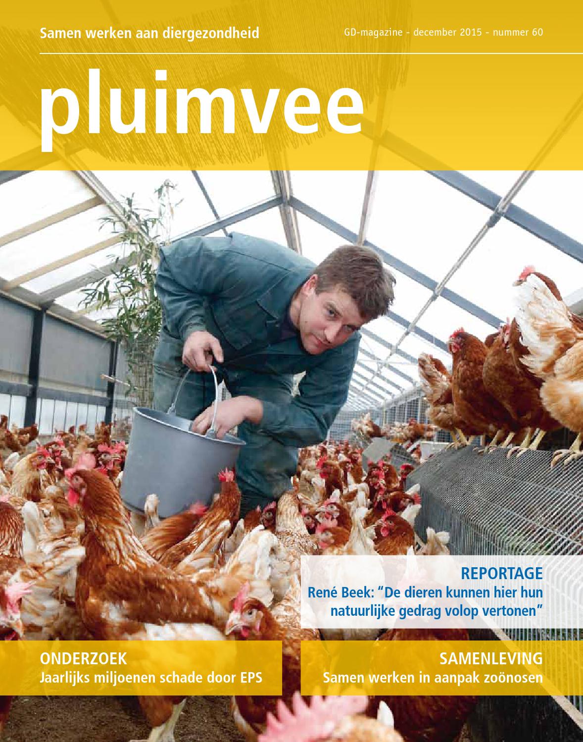 GD Pluimvee 60 by Royal GD - Issuu