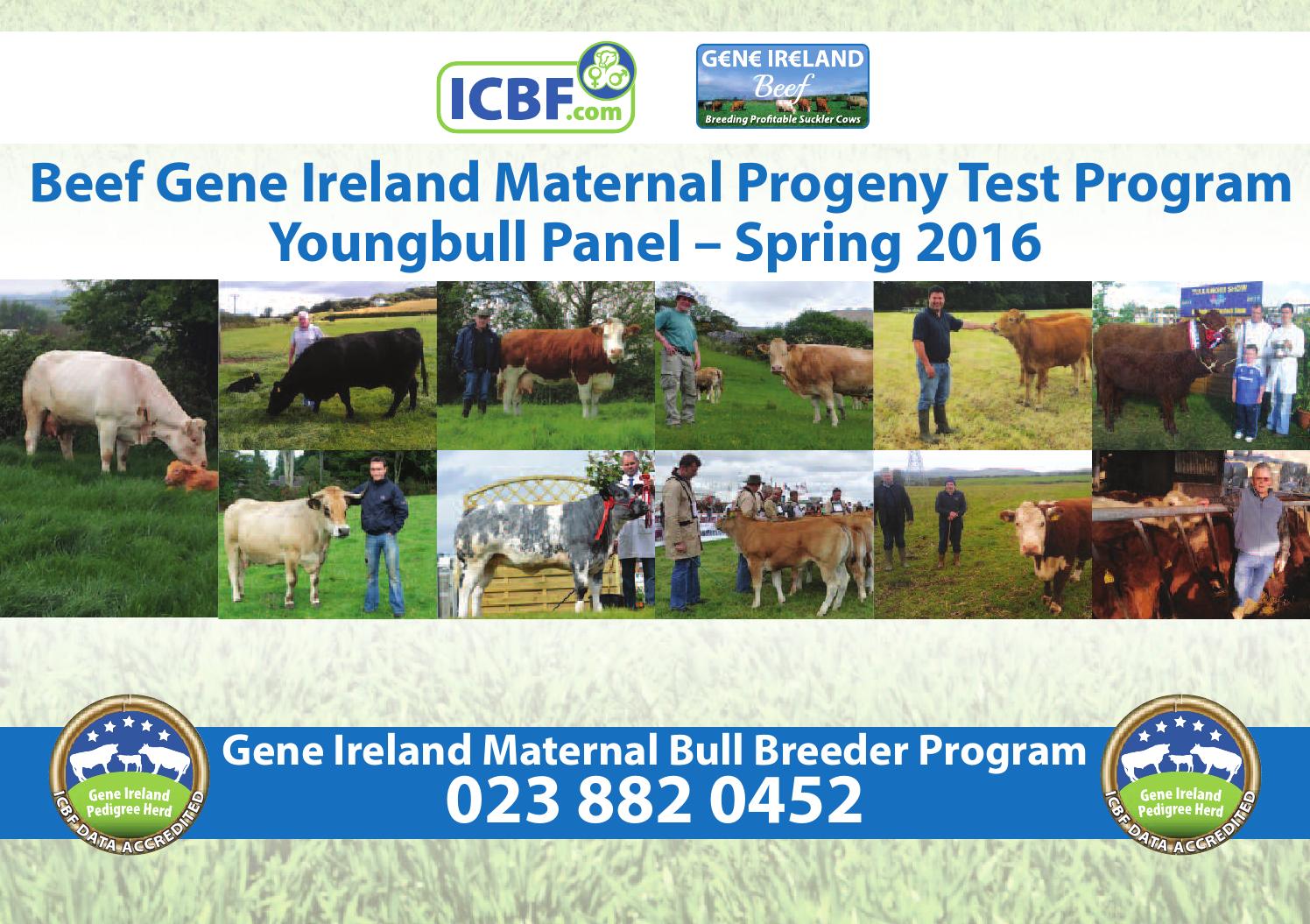 Spring 2016 Beef Gene Ireland Catalogue by ICBF - Issuu