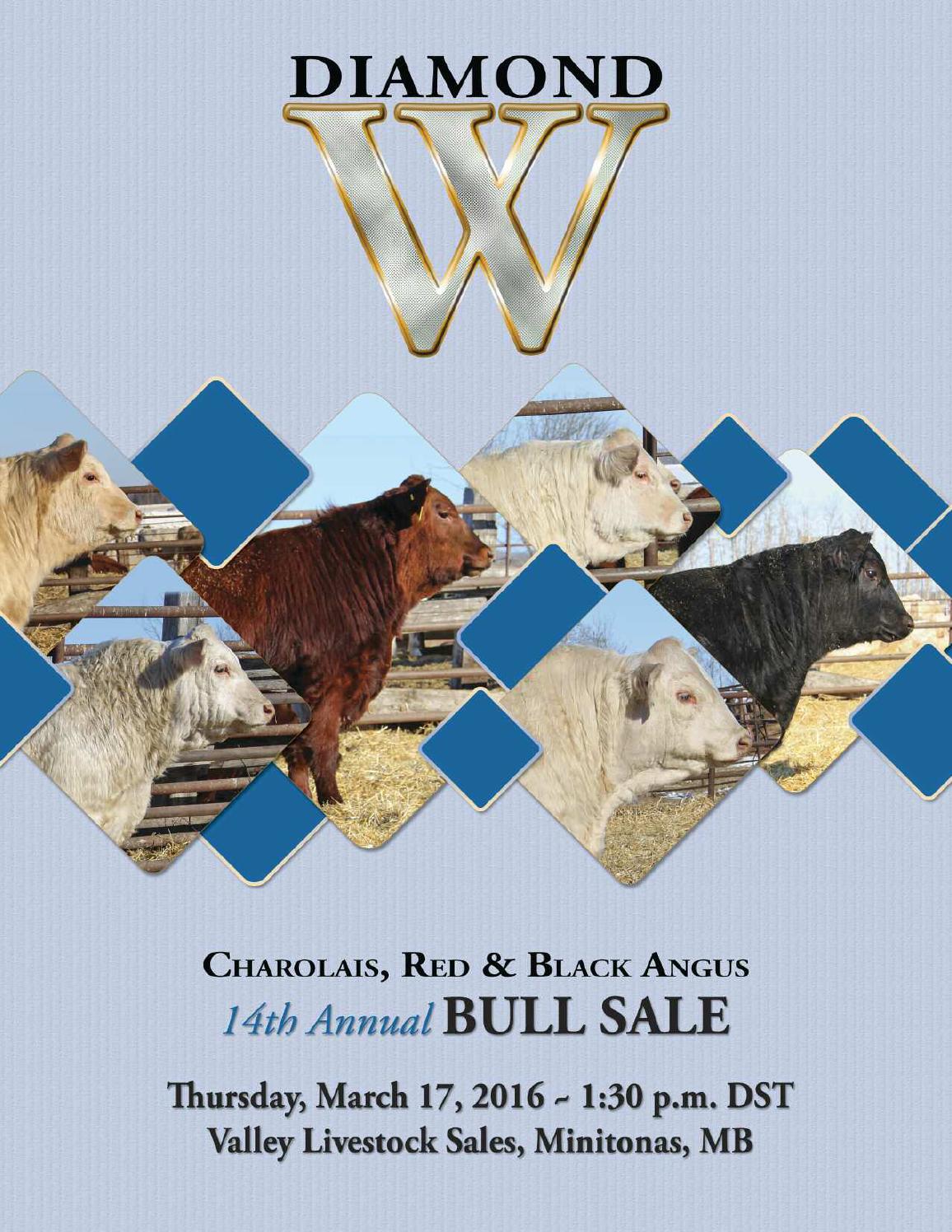 Diamond w 2016 catalog by Charolais Banner - Issuu