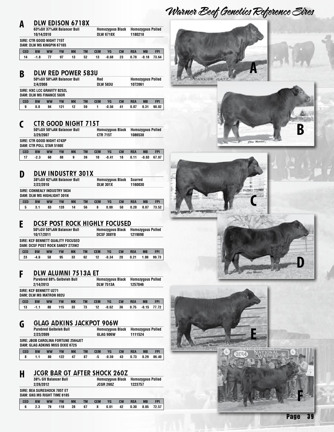 Warner Beef Genetics Genetic Investment Bull Sale by American Gelbvieh ...