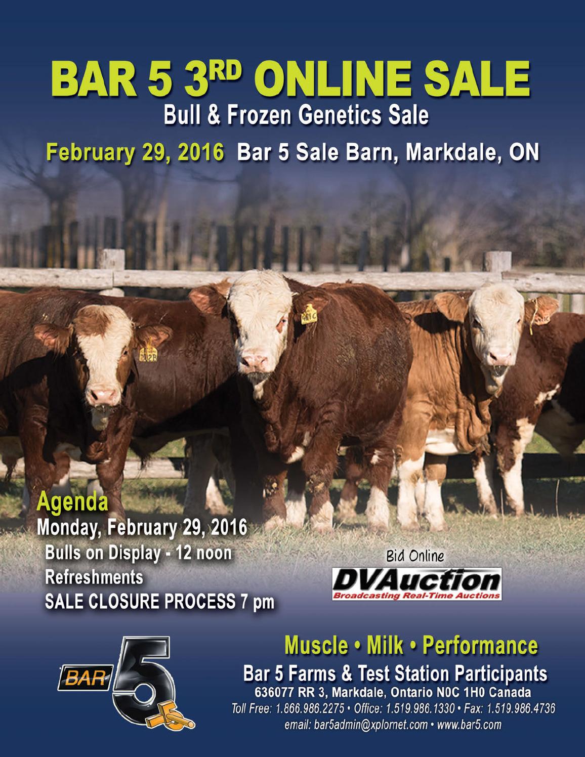 Bar 5 3rd Annual Online Bull Sale by Today's Publishing Inc. - Issuu