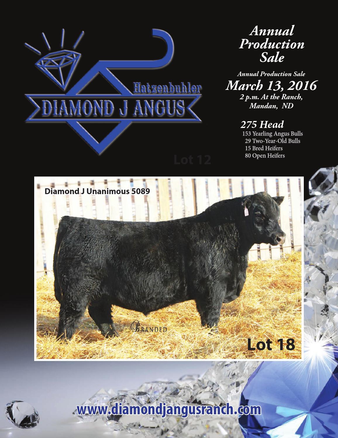 Diamond J Angus 2016 Production Sale by LivestockDirect - Issuu