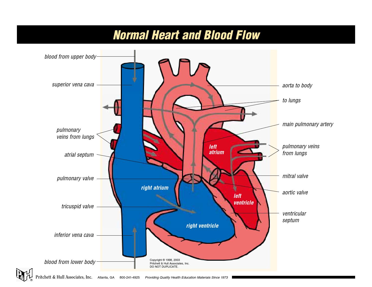 307H by Pritchett & Hull Associates, Inc. - Issuu