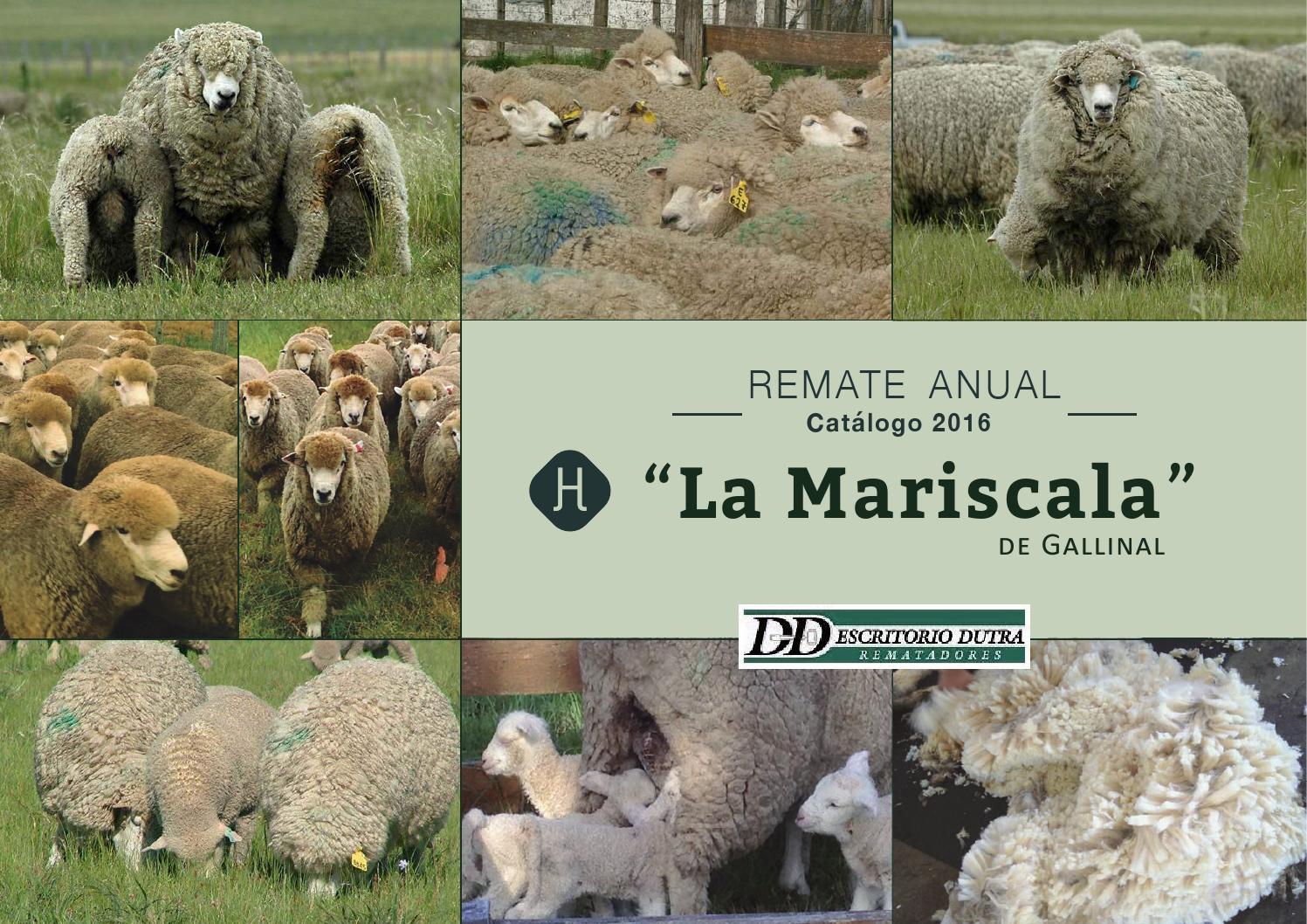 Catálogo La Mariscala 2016 by Escritorio Dutra - Issuu