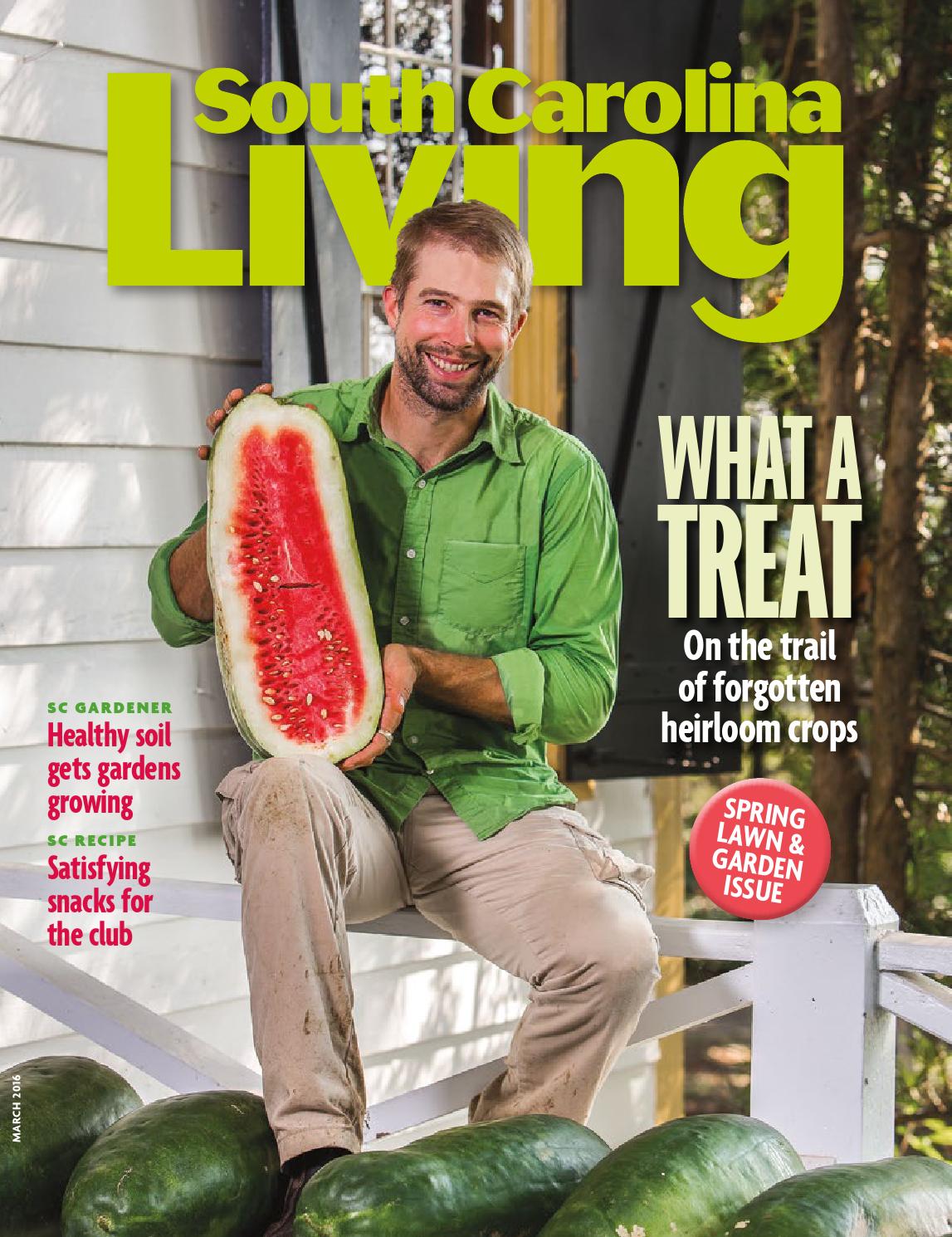 South Carolina Living March 2016 by American MainStreet Publications ...