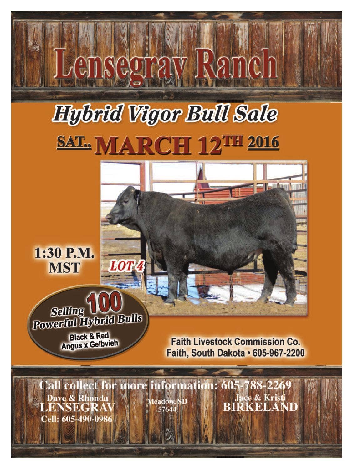 Lensegrav 2016 by RPI Promotions - Issuu