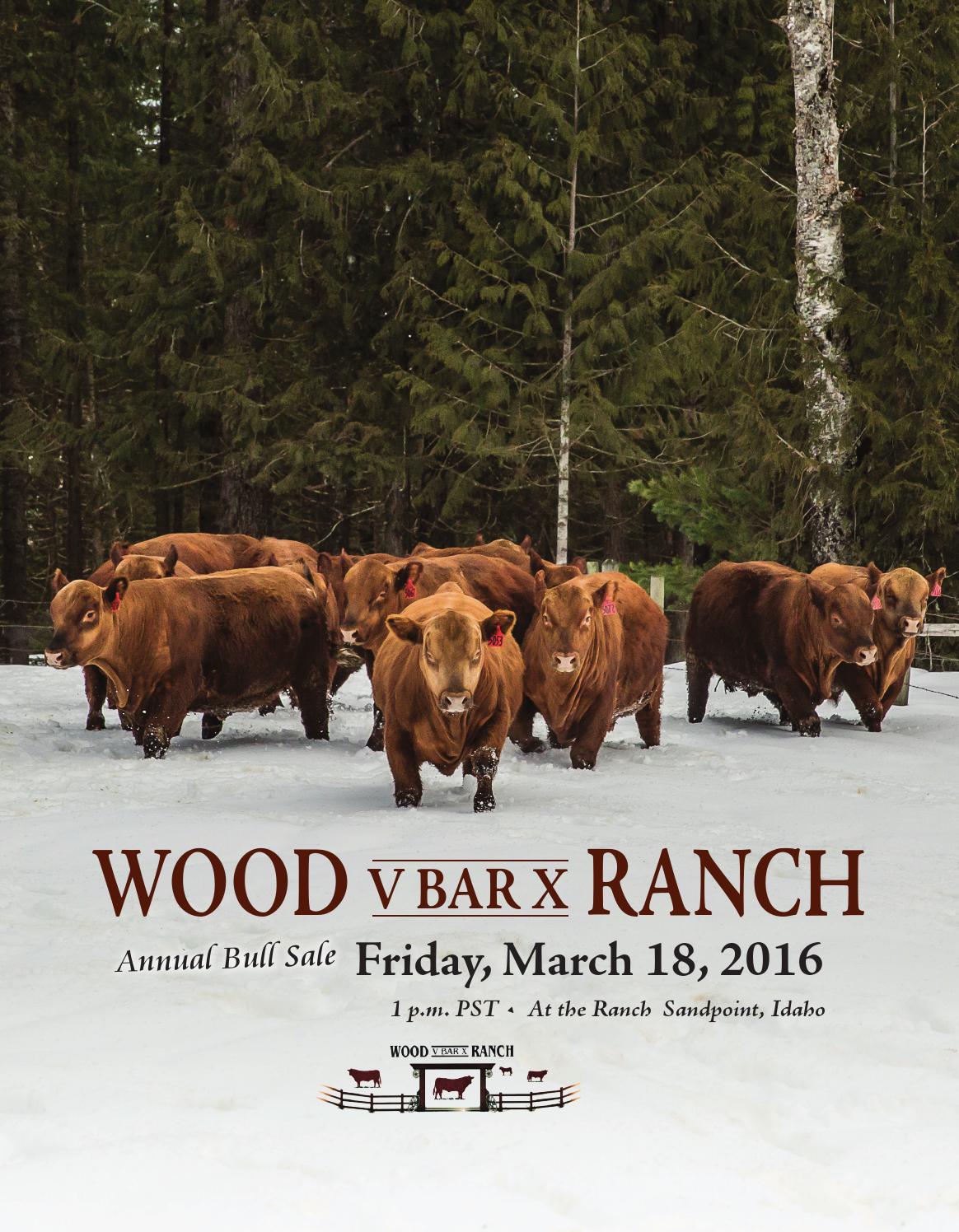 Wood V Bar X Ranch Spring Bull Sale Catalog 2016 by Keokee :: media ...