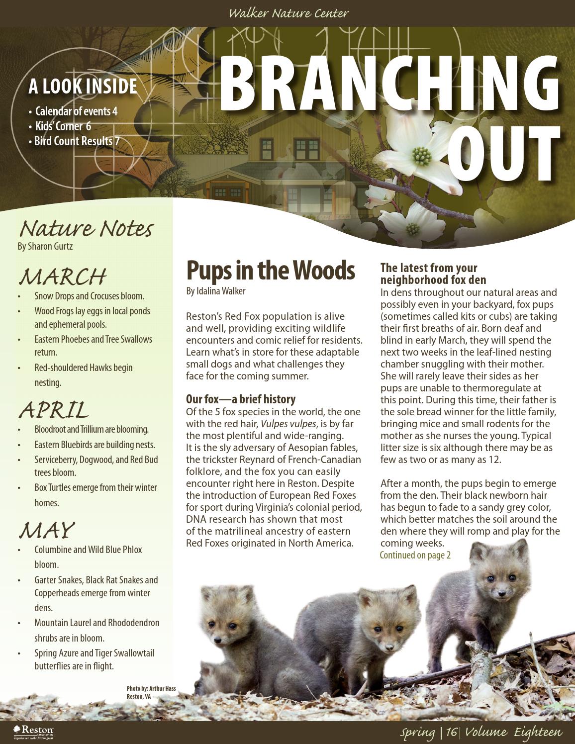 Branching out spring 2016 by Reston Association - Issuu