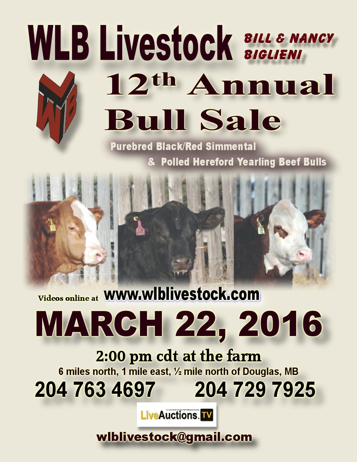 WLB Livestock 12th Annual Bull Sale by Today's Publishing Inc. - Issuu
