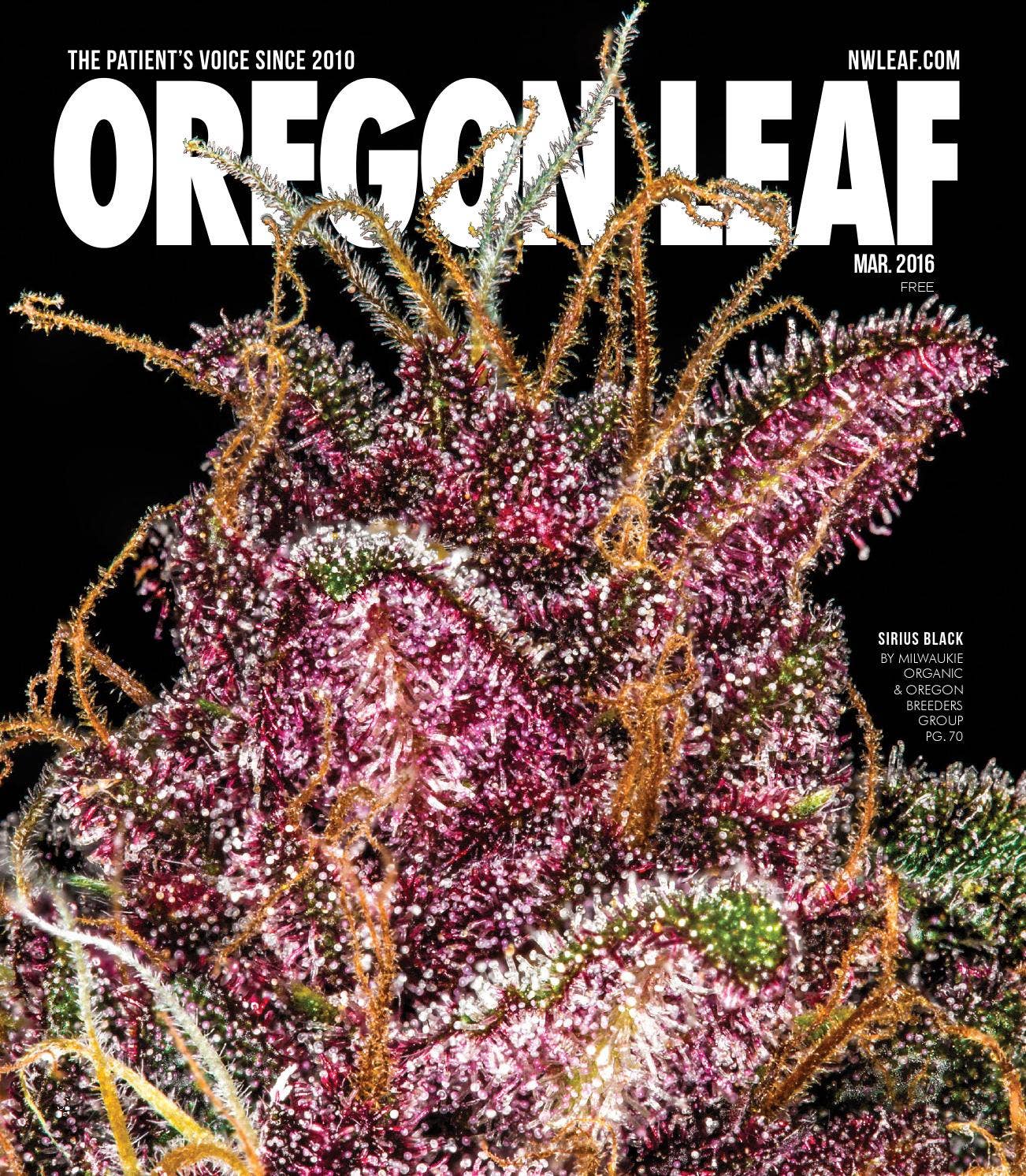 Oregon Leaf — March 2016 by Northwest Leaf / Oregon Leaf / Alaska Leaf ...