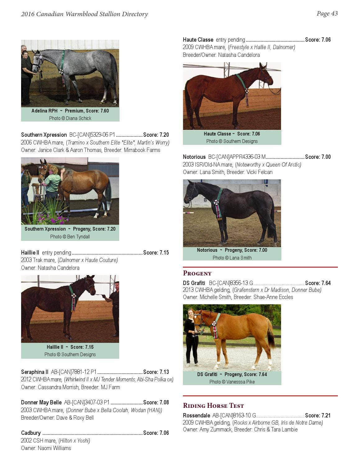 2016 CWHBA Stallion Directory by Canadian Warmblood Horse Breeders ...