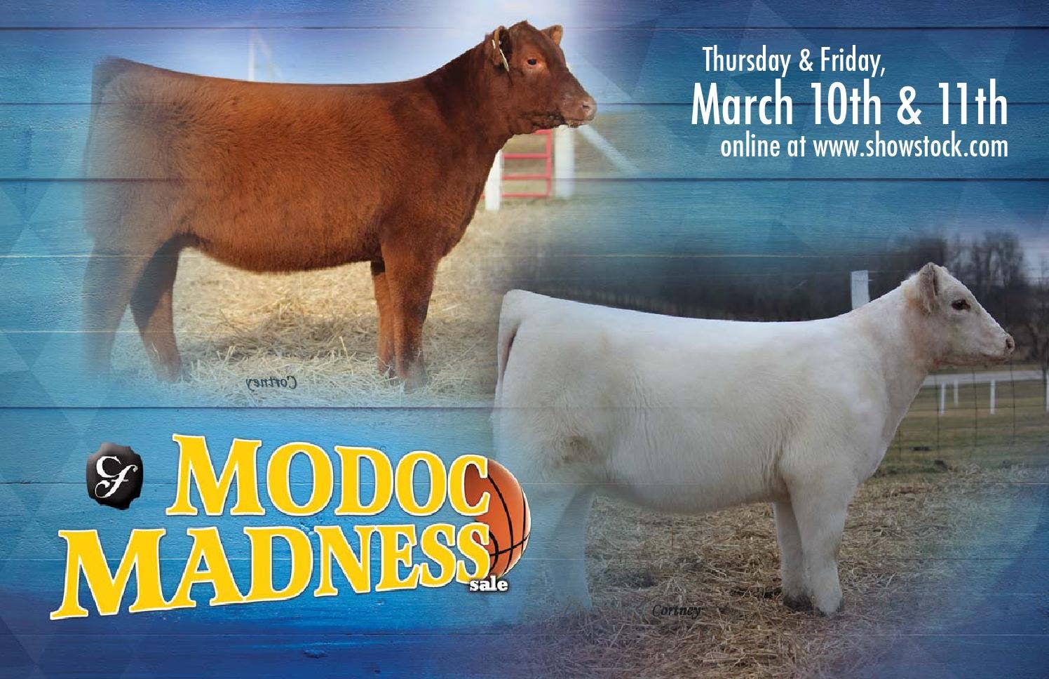 2016 Modoc Madness Sale Catalog by Ranch House Designs - Issuu