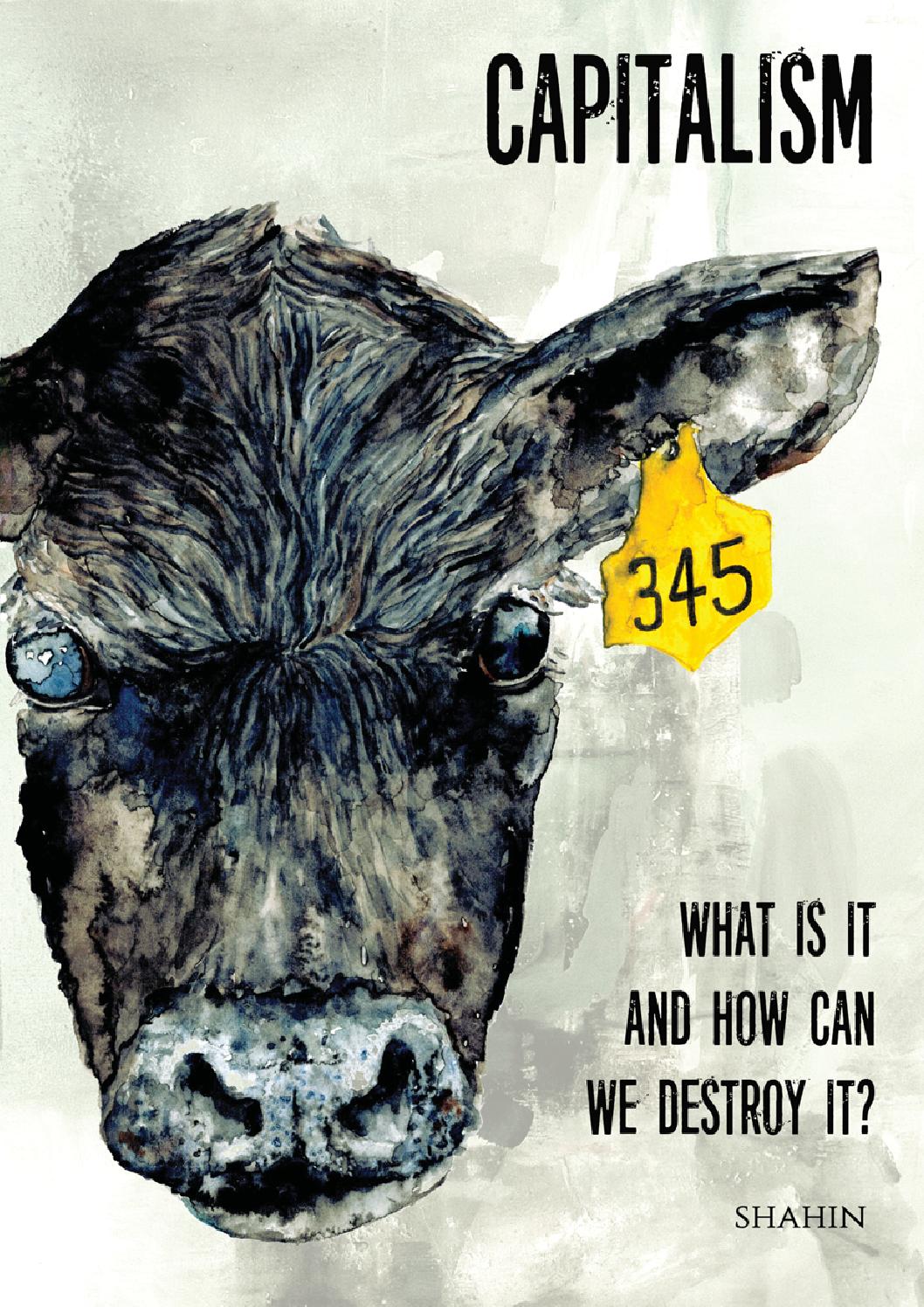 Capitalism web version by Corporate Watch - Issuu