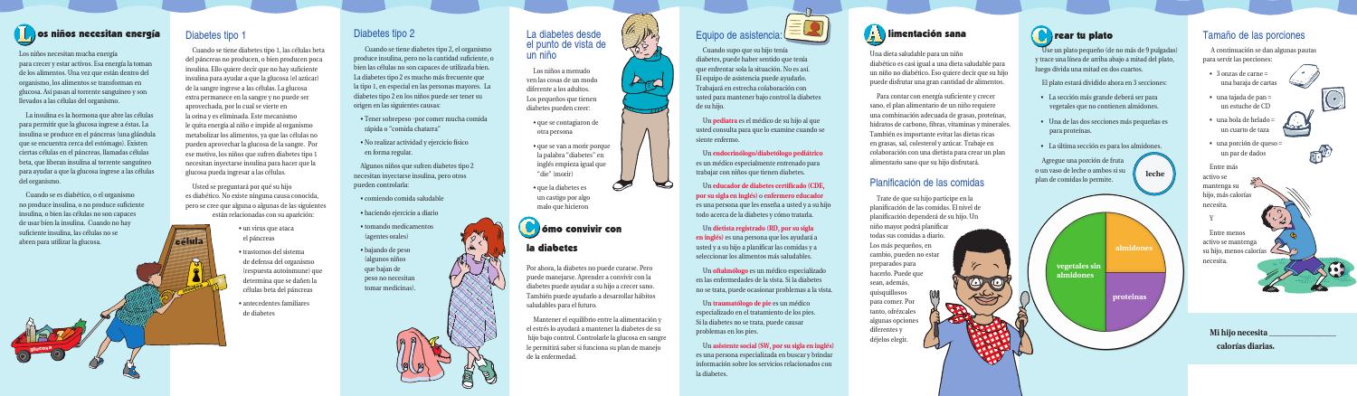 Spanish Your Child has Diabetes pamphlet (628s) by Pritchett & Hull ...