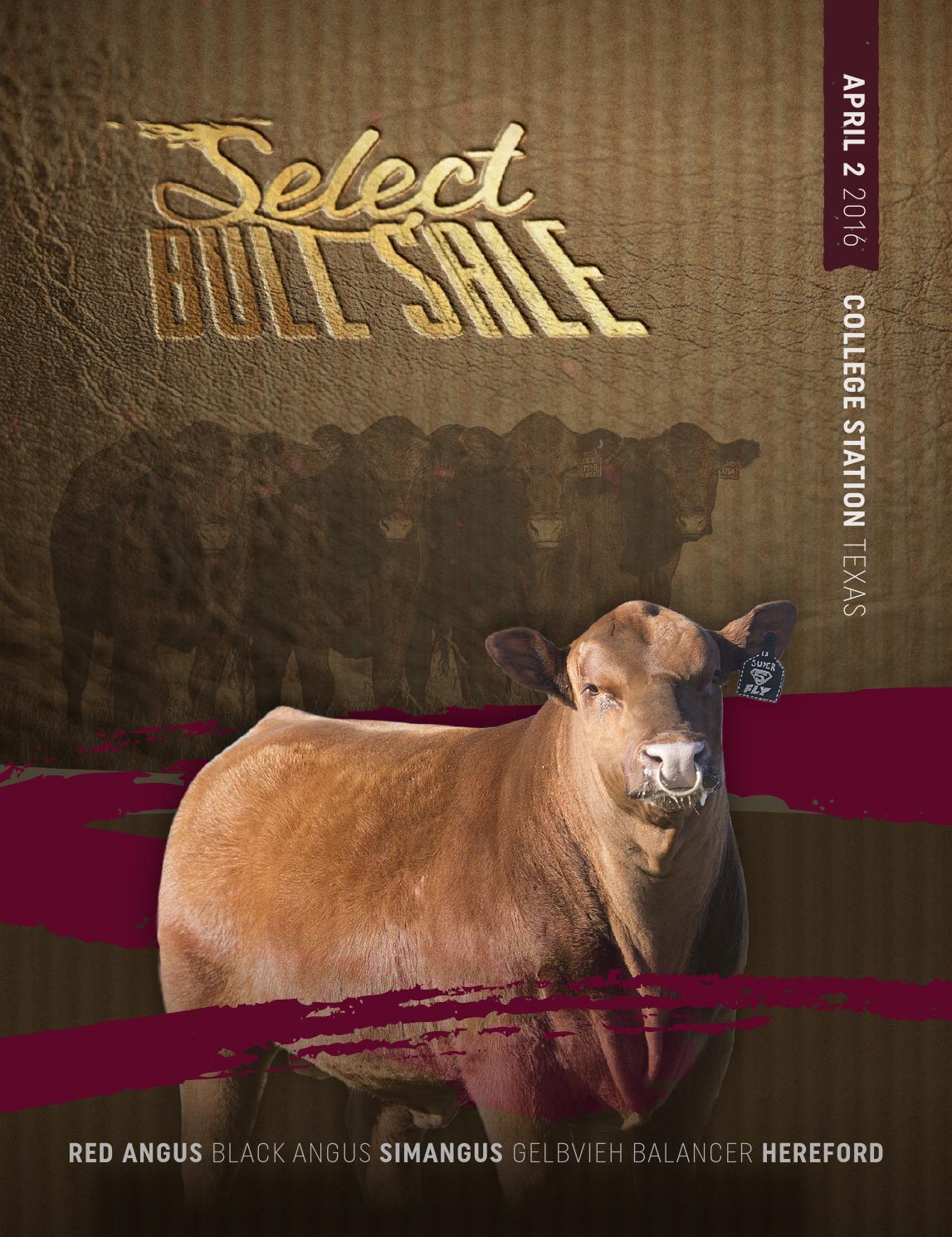 2016 Select Bull Sale by Catalogs by Top Stock - Issuu
