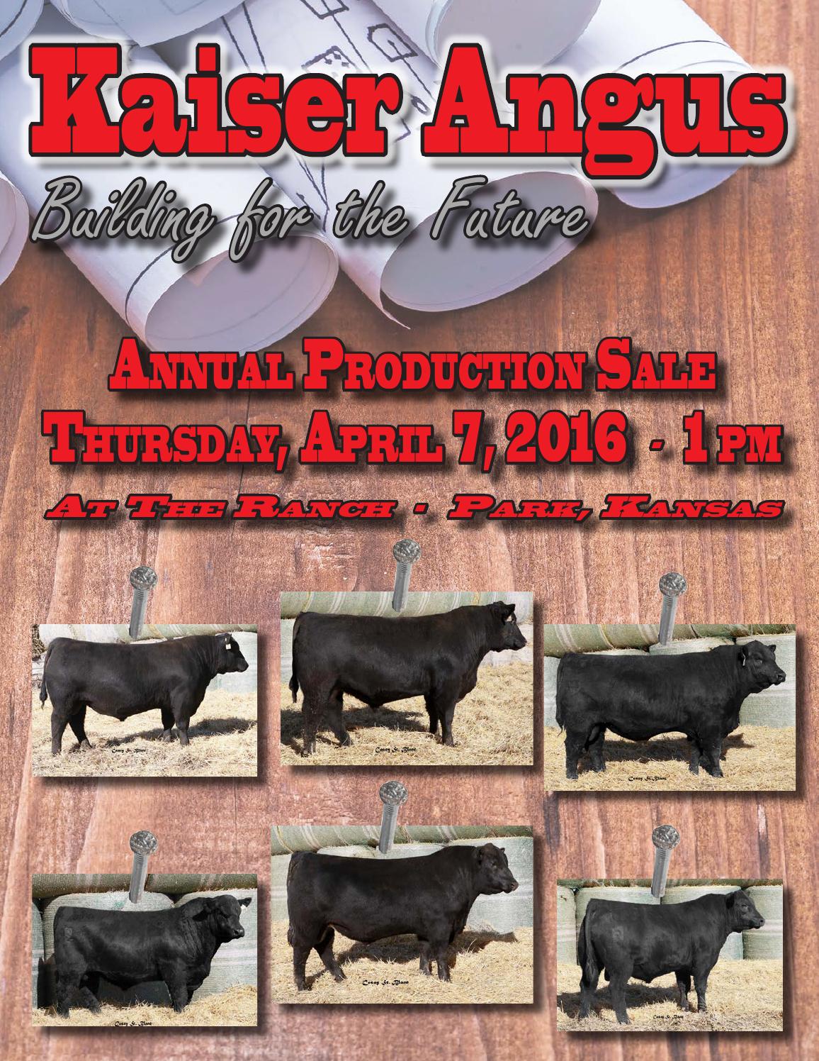 Kaiser Angus 2016 Production Sale by LivestockDirect - Issuu