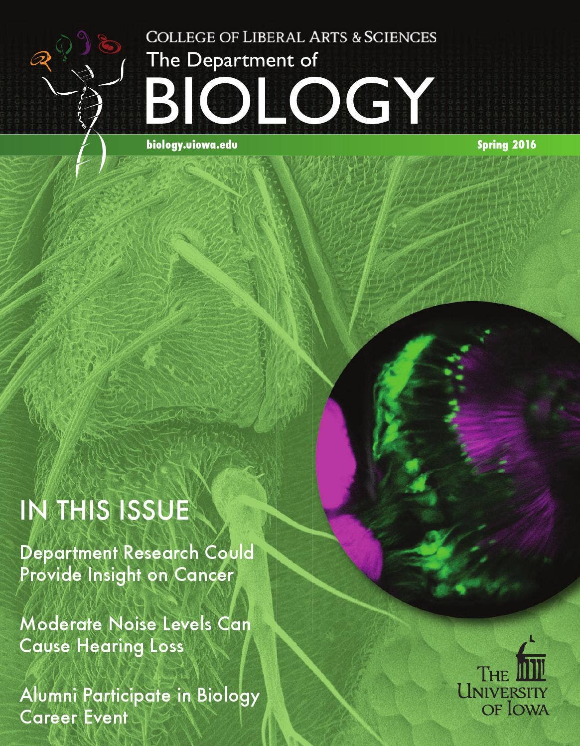 The University of Iowa Department of Biology Spring 2016 Newsletter by ...