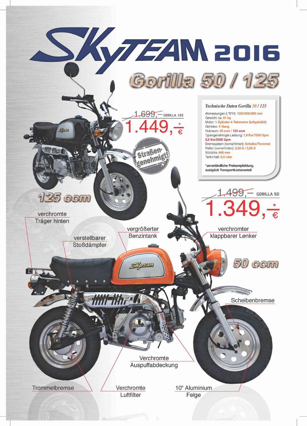Skyteam 2016 by 1000PS Internet GmbH - Issuu