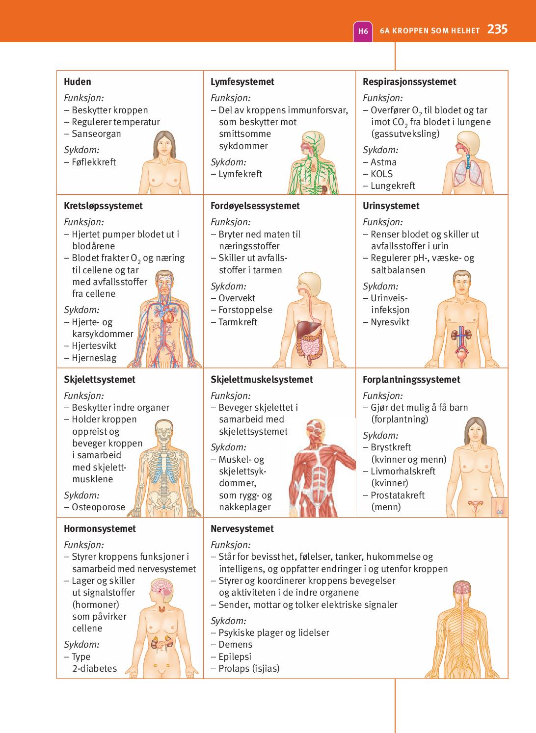 Helse bla i boka by Gyldendal Norsk Forlag - Issuu