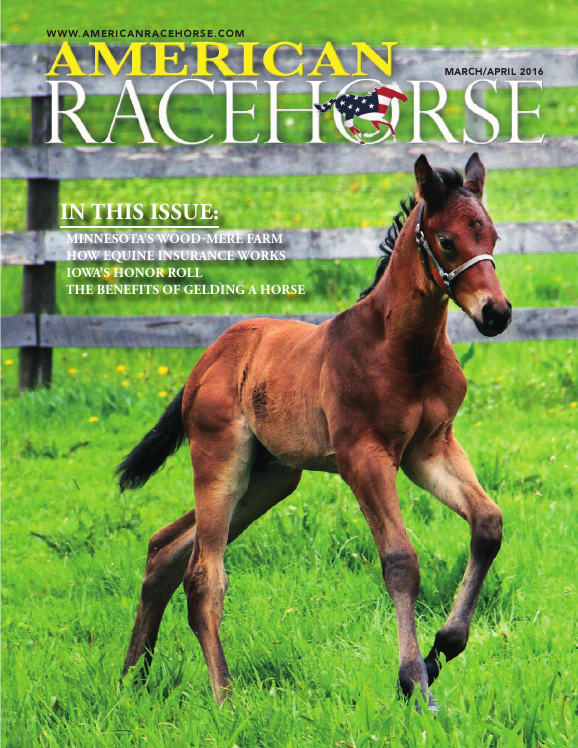 American Racehorse - March/April 2016 by American Racehorse (formerly ...