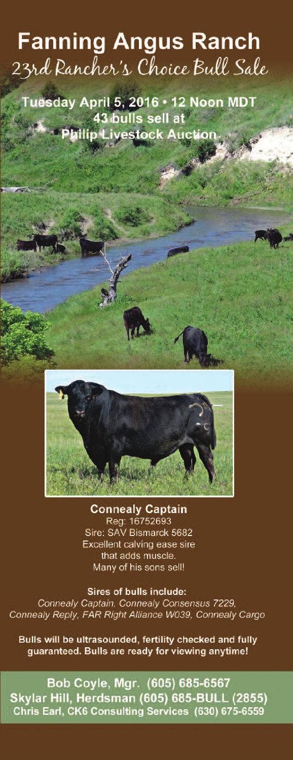 Fanning angus by RPI Promotions - Issuu