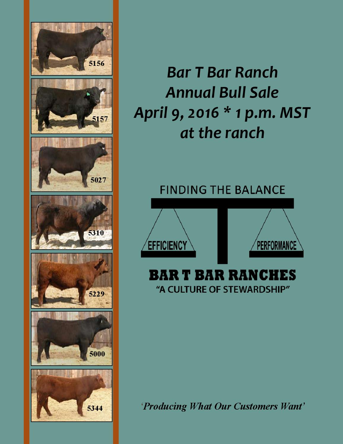 Bar T Bar Ranch Annual Bull Sale by American Gelbvieh Association - Issuu