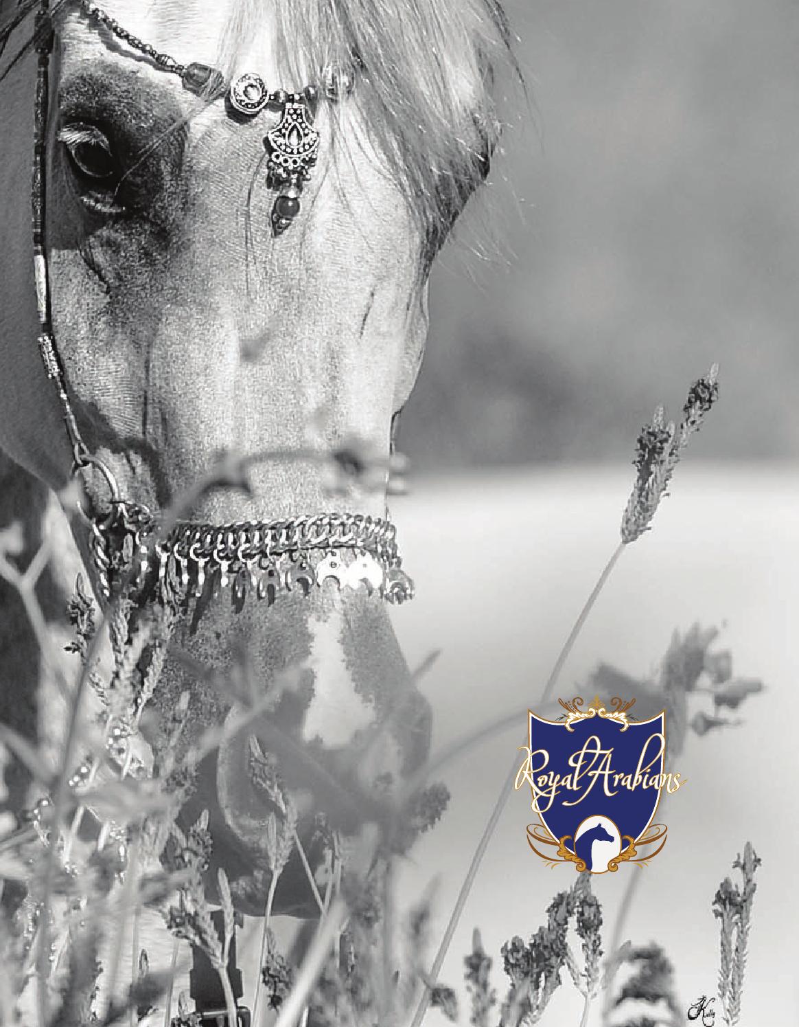 Royal Arabians - 2016, Featured in Arabian Horse Times by Arabian Horse ...