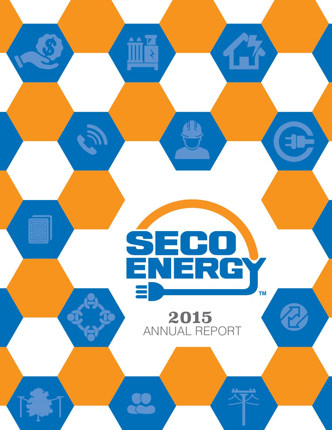 2015 Annual Report by SECO Energy - Issuu