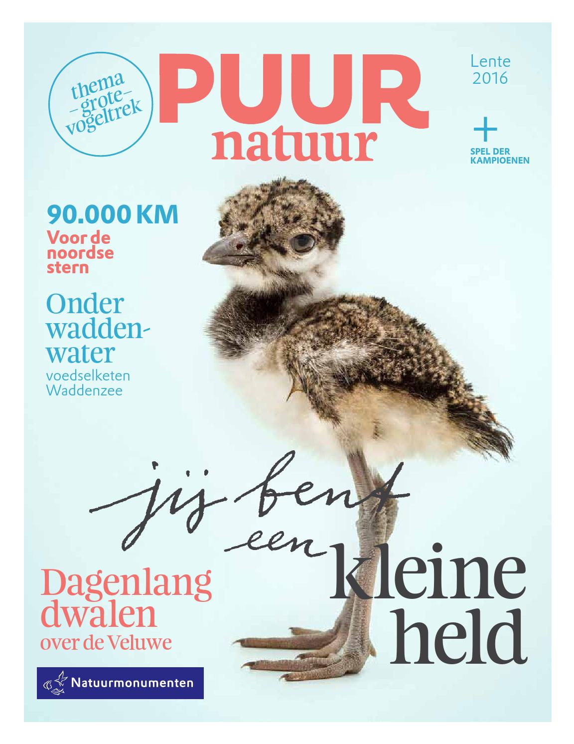 Puur Natuur Lente 2016 Preview by Natuurmonumenten - Issuu