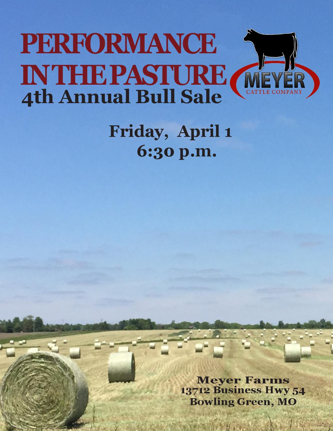 4th Annual Bull Sale Catalog by Ranch House Designs - Issuu