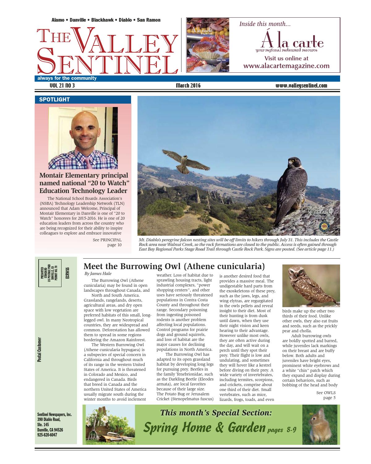 The Valley Sentinel_March 2016 by Sentinel Newspapers - Issuu