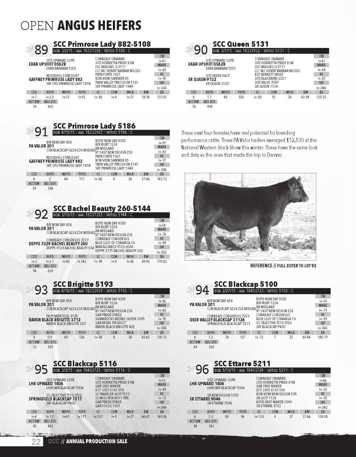 Simon's Cattle Co Annual Production Sale by Monti West Design - Issuu