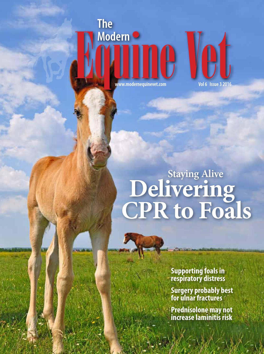 The Modern Equine Vet March 2016 by The Modern Equine Vet - Issuu