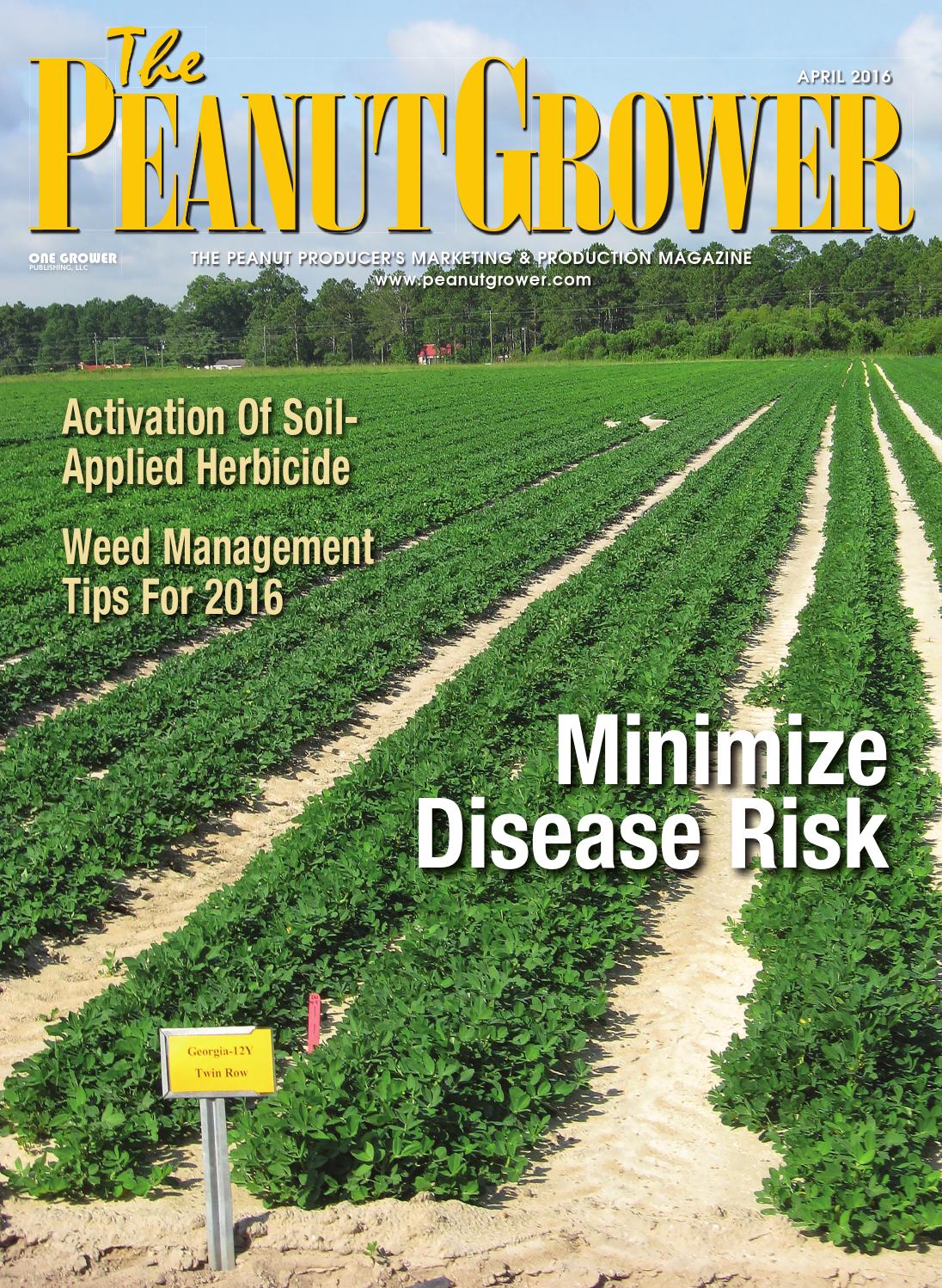 Peanut grower april 2016 by One Grower Publishing - Issuu