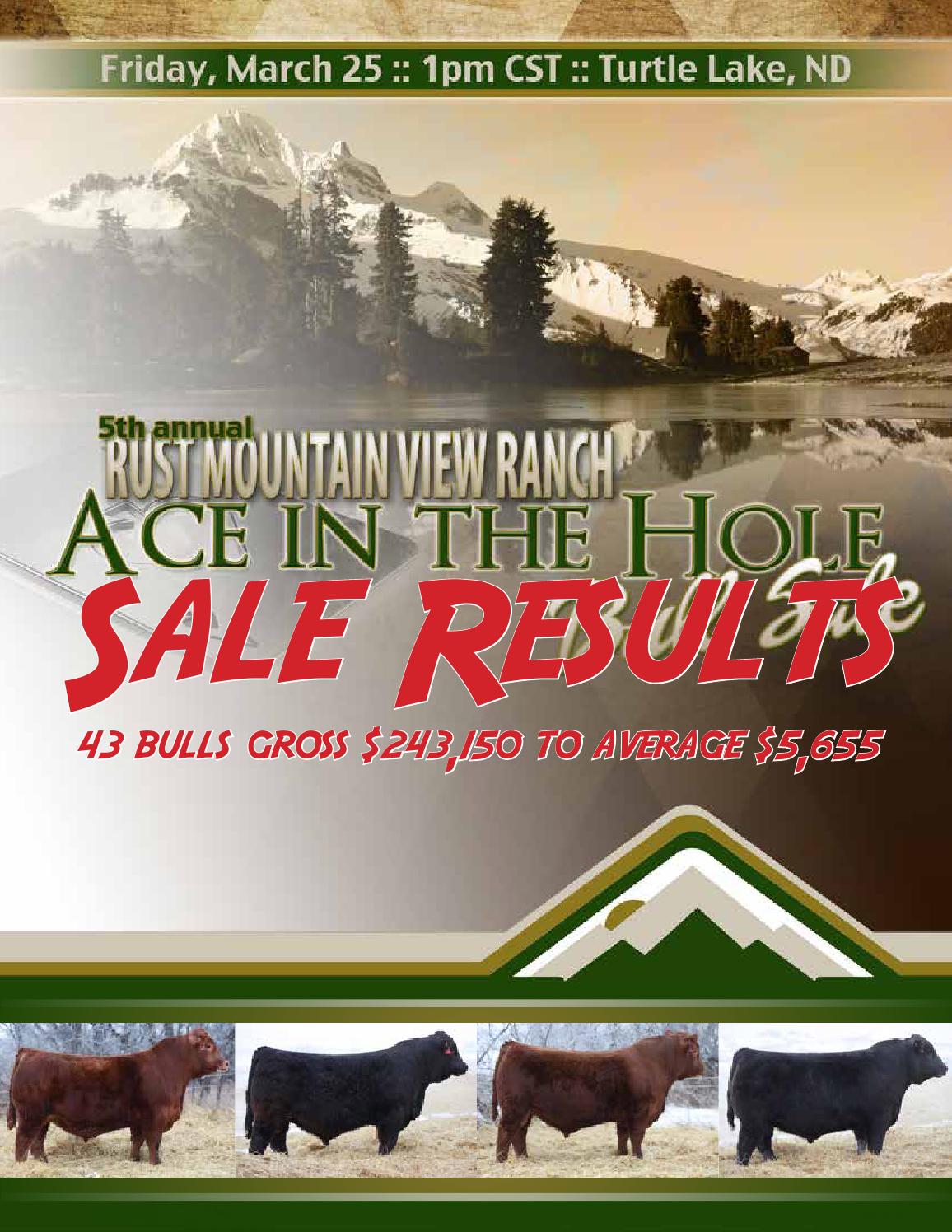 Rust Mountain View Ranch Bull Sale :: SALE RESULTS 2016 by Bohrson ...