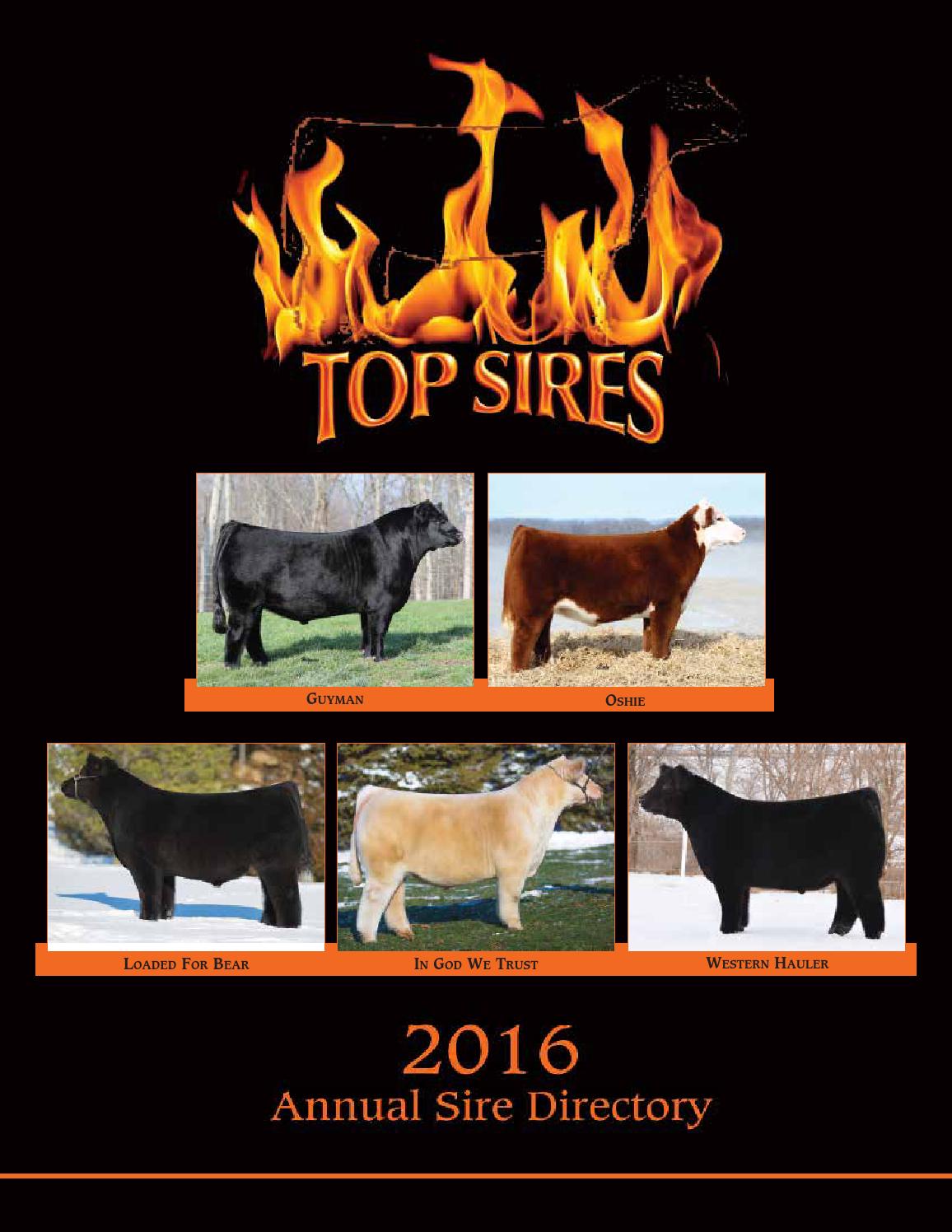 Top Sires 2016 Sire Directory by Monti West Design - Issuu