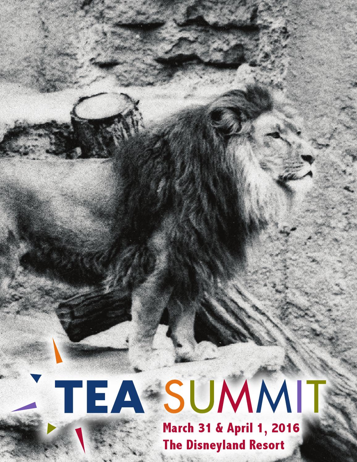 2016 Themed Entertainment Summit Program by Themed Entertainment ...