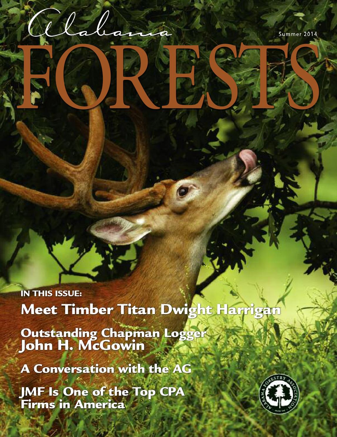Ala forests summer 14 web by Alabama Forestry Association - Issuu