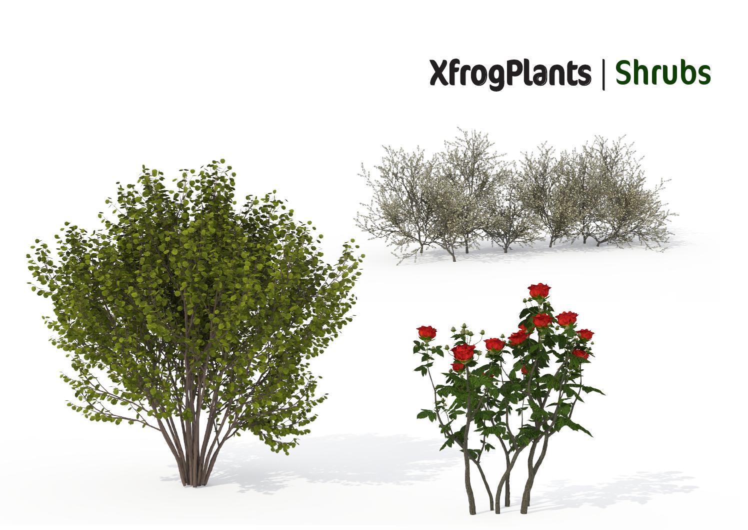 /Shrubs_XfrogPlants_JP by XFROG - Issuu