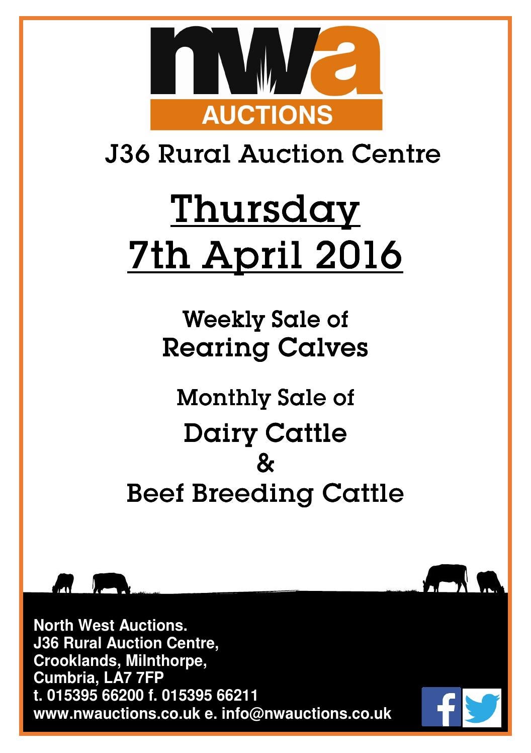 J36 7th April - Beef Breeding Cattle Sale by North West Auctions - Issuu