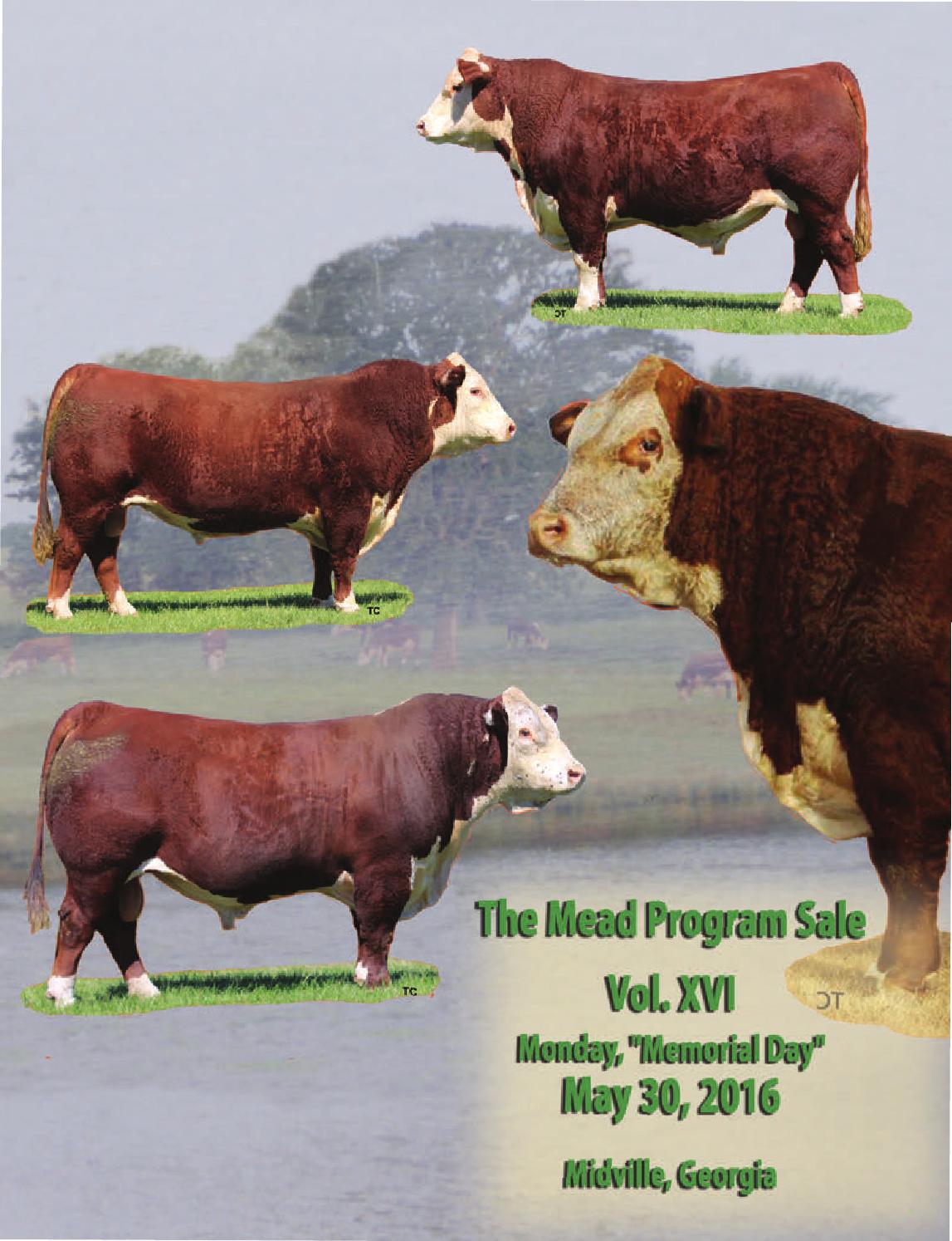 The Mead Program Sale by American Hereford Association - Issuu