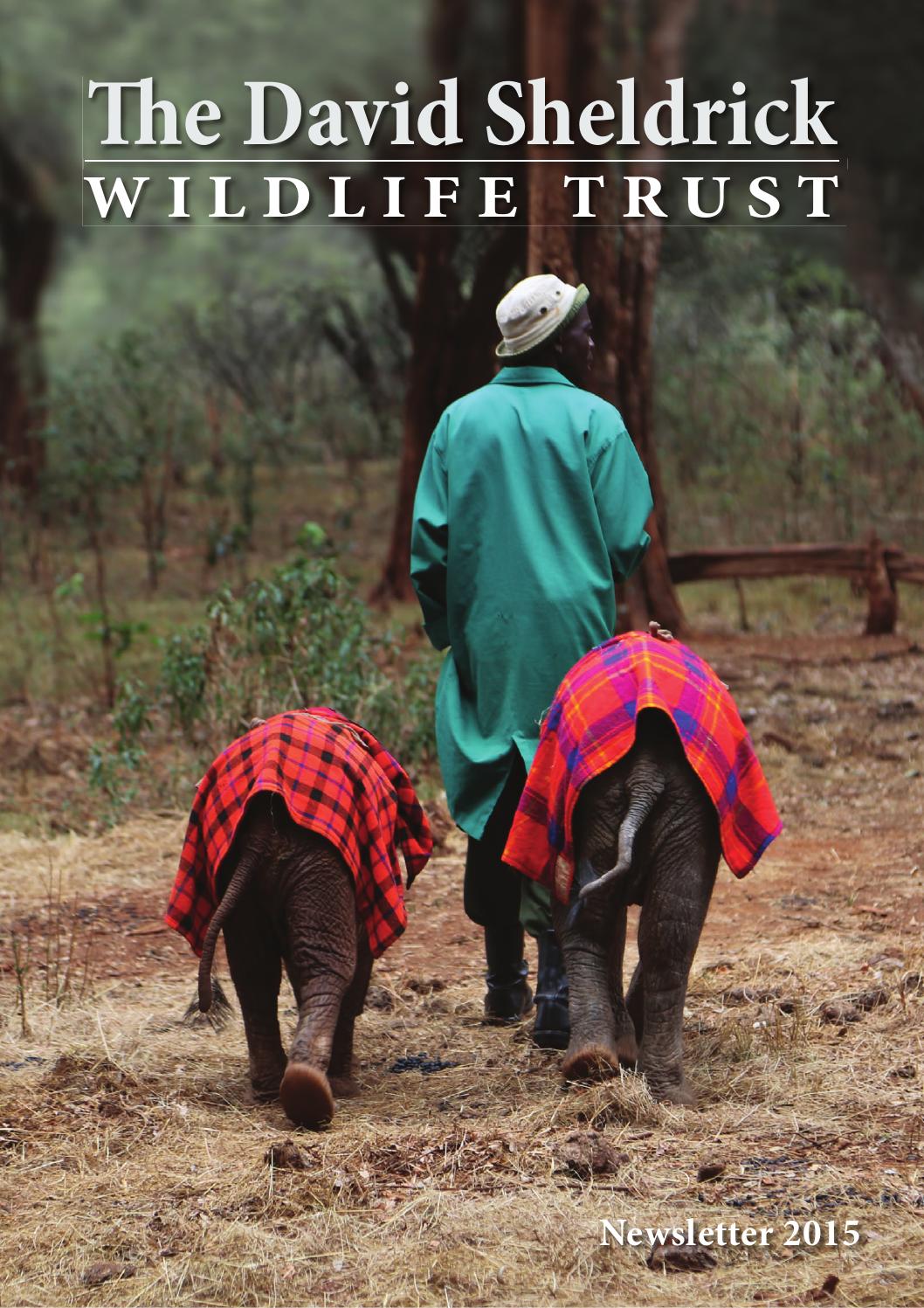 DSWT Annual Newsletter 2015 by Sheldrick Wildlife Trust - Issuu