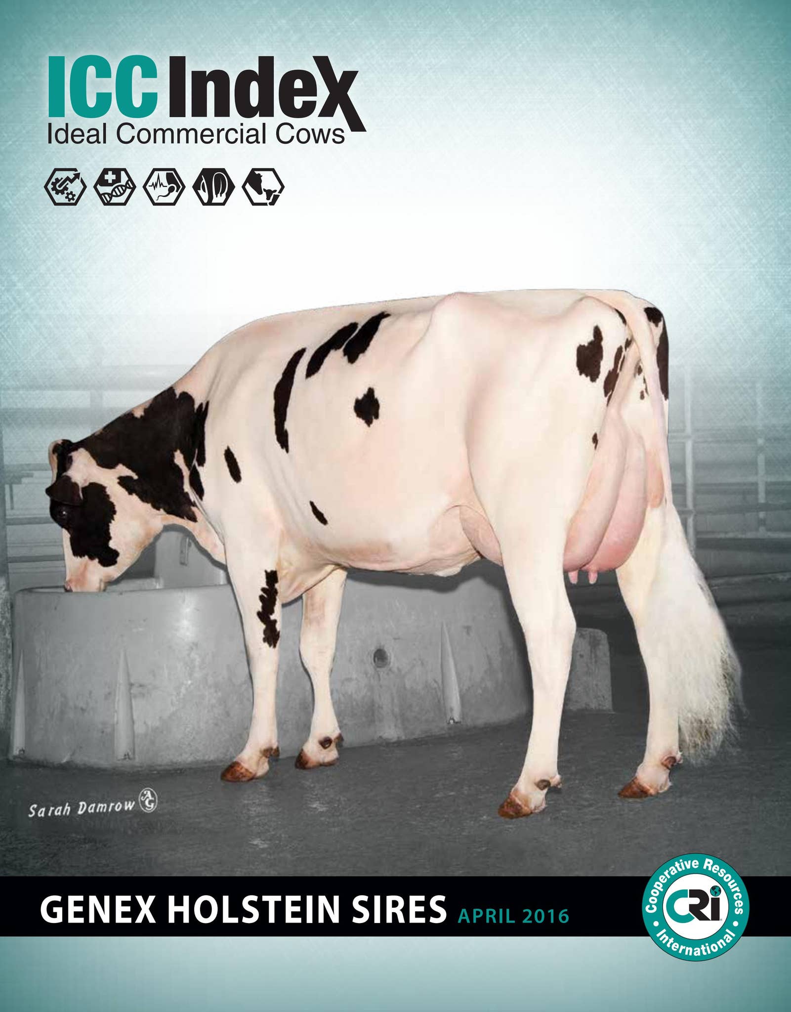 Genex Holstein Sires by GENEX - Issuu