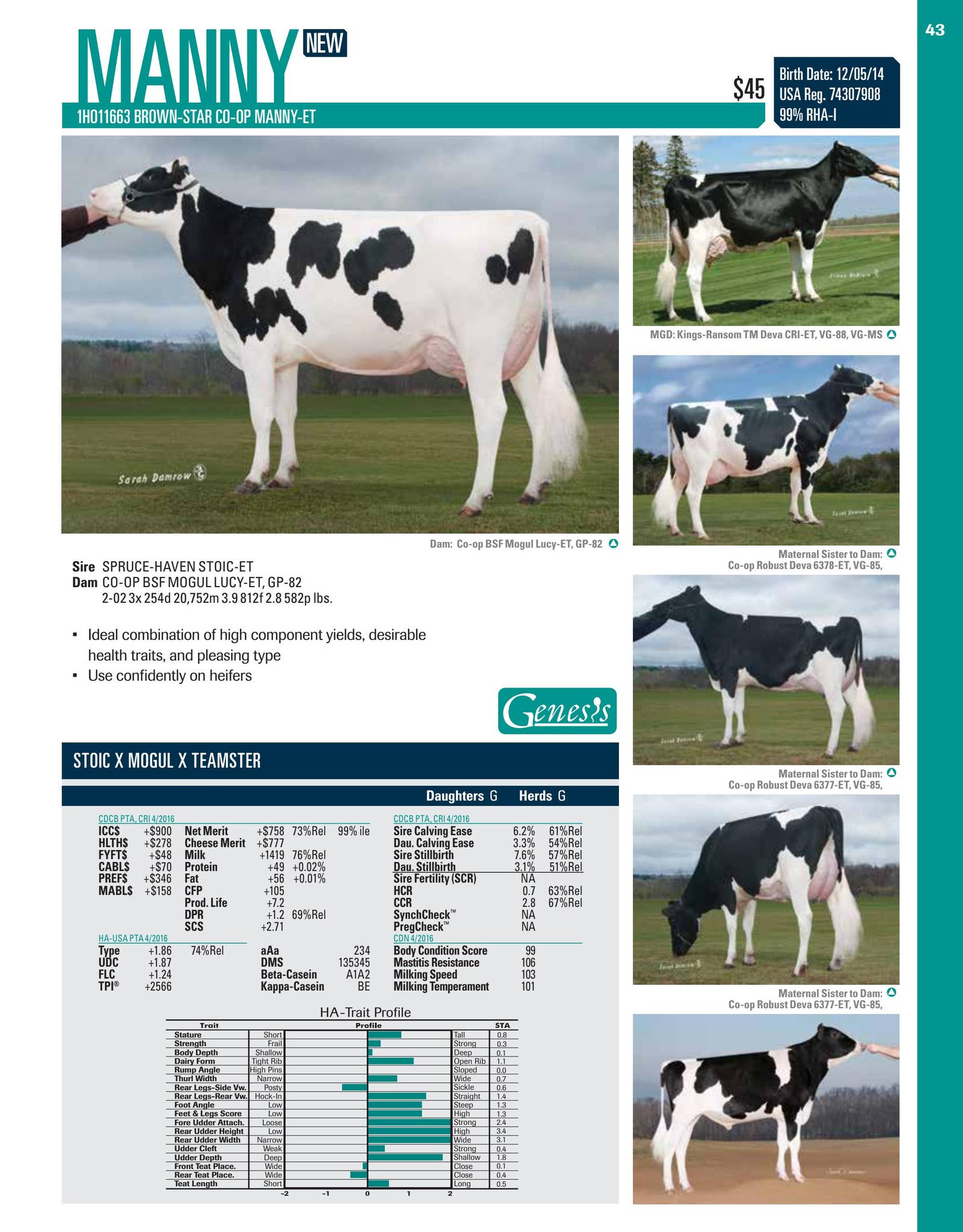 Genex Holstein Sires by GENEX - Issuu