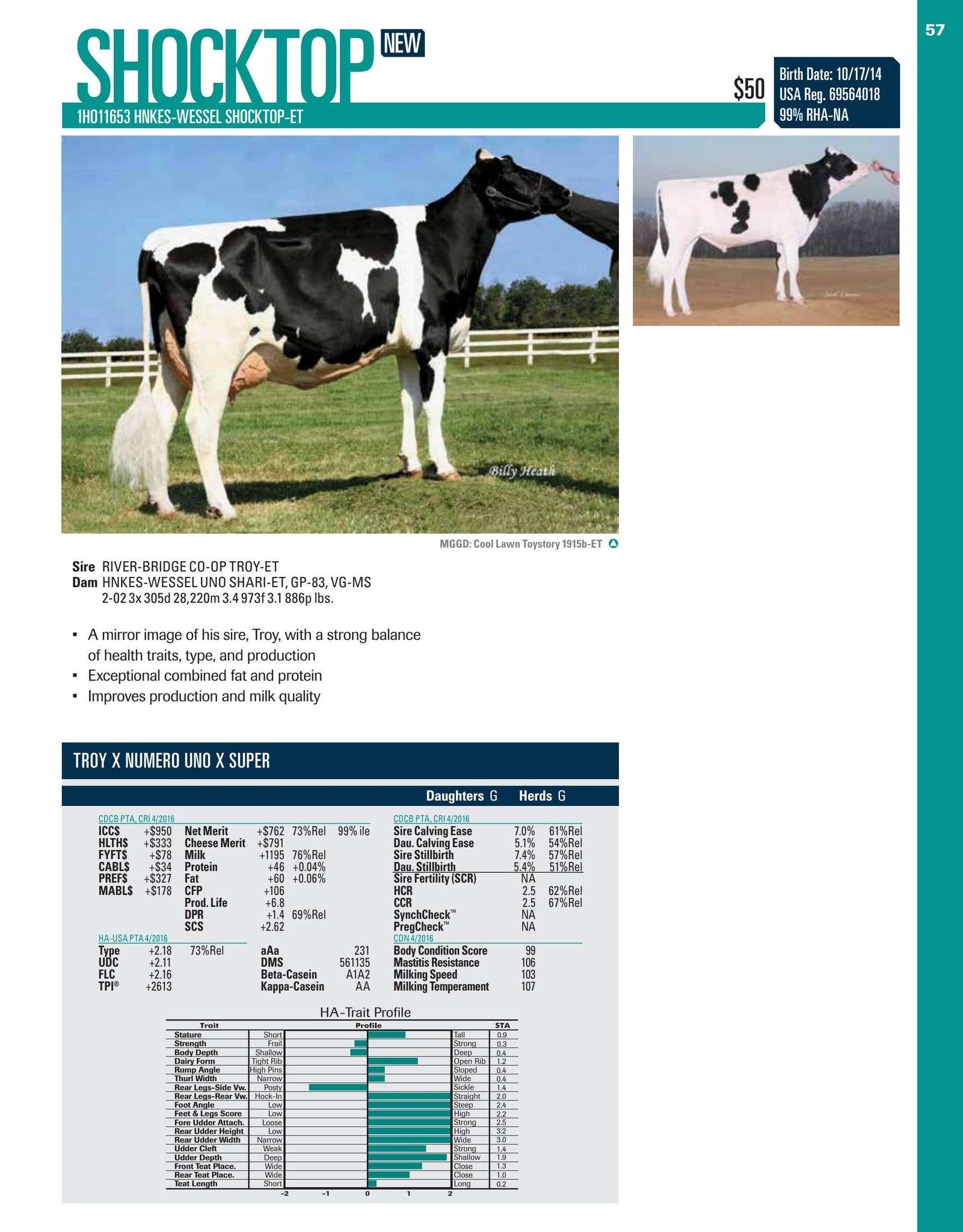 Genex Holstein Sires by GENEX - Issuu