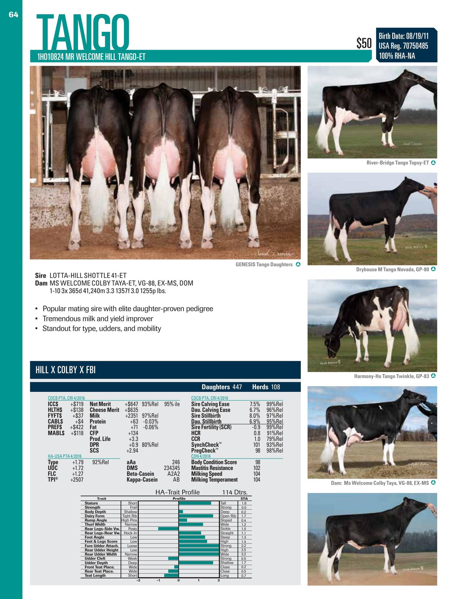 Genex Holstein Sires by GENEX - Issuu