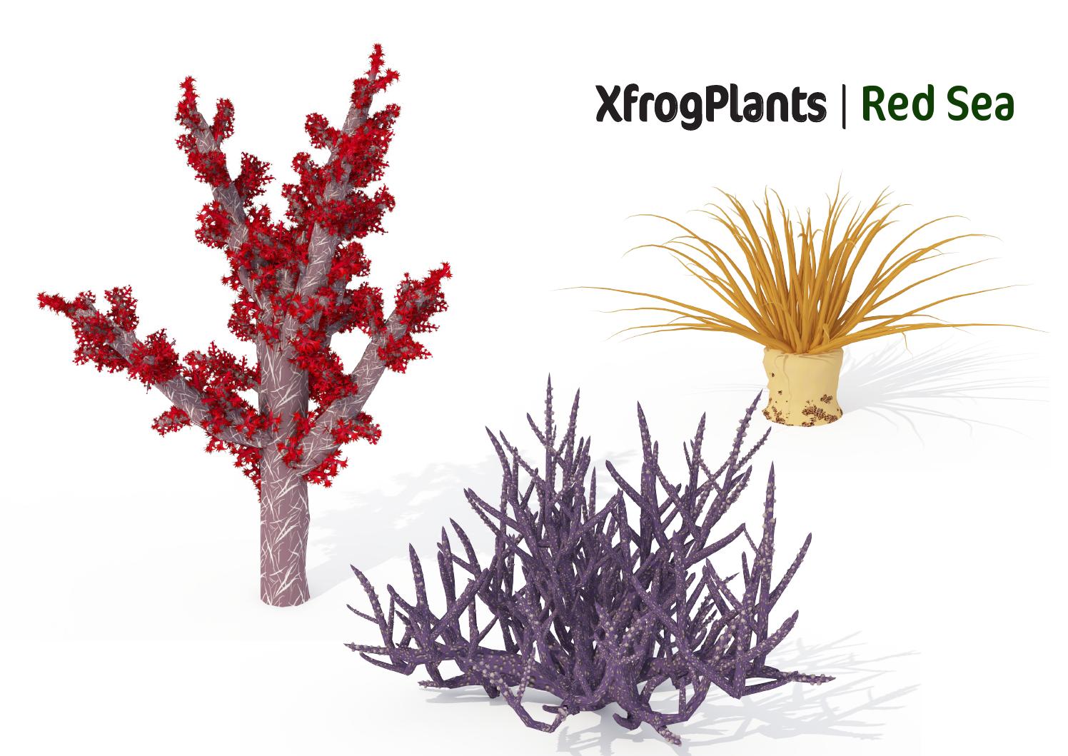 Redsea xfrogplants ci by XFROG - Issuu