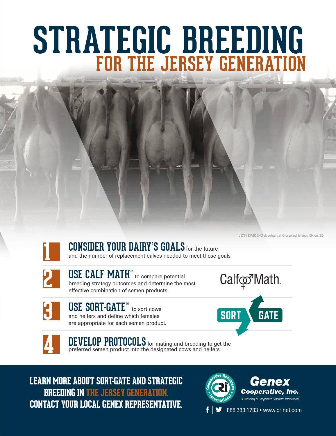 Genex Jersey Catalog by GENEX - Issuu