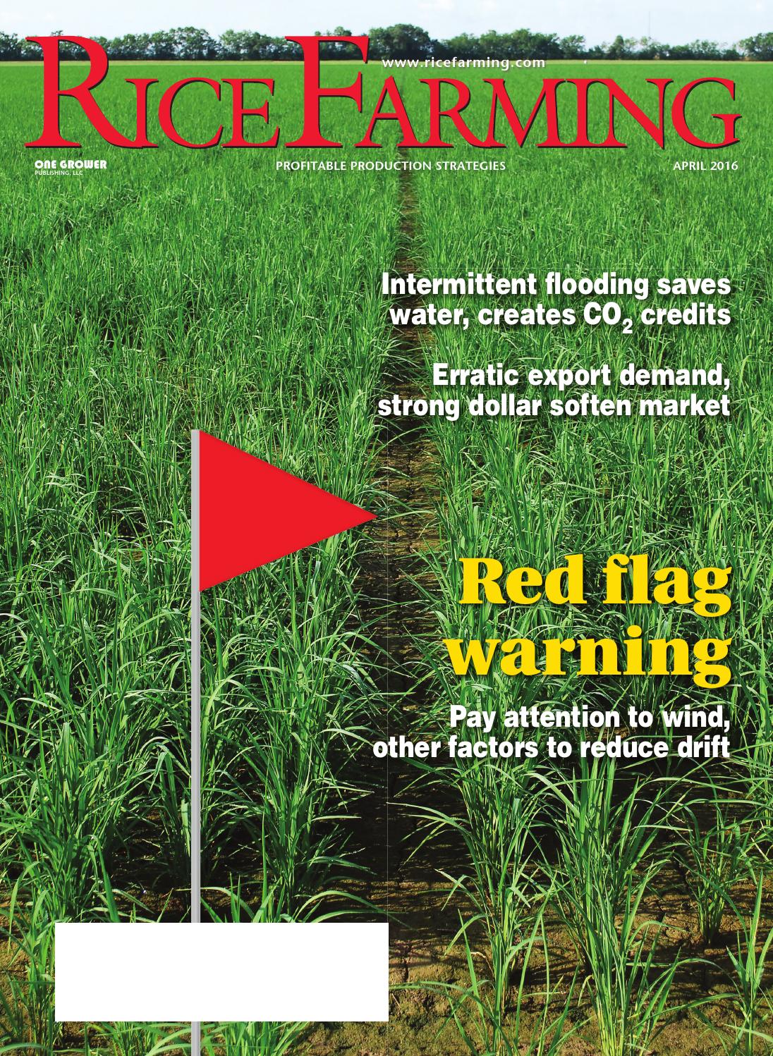 Rice farming april 2016 by One Grower Publishing - Issuu